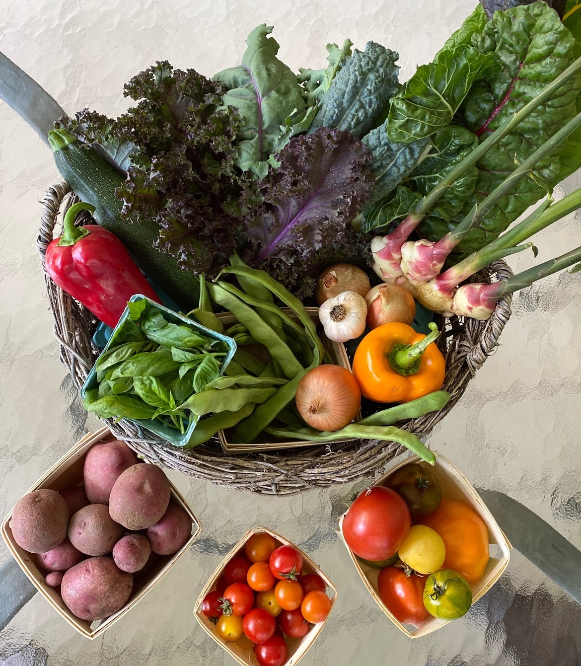 Home [bluespringfarm.net]